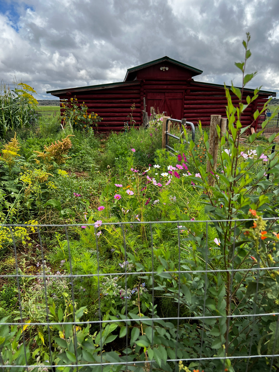 About Us – Double T Bar Farm Store